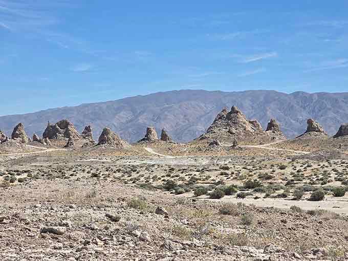 Five hundred tufa spires rising from the desert floor, each one older than anything you've ever stood next to.