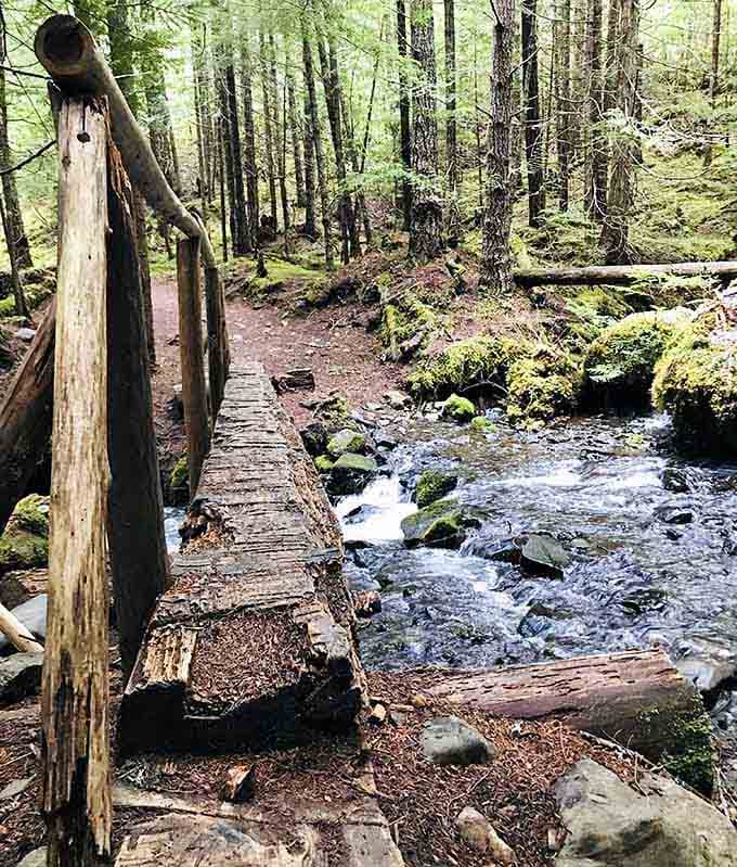 This rustic footbridge over Copper Creek is charming in the way only genuinely old things can be.