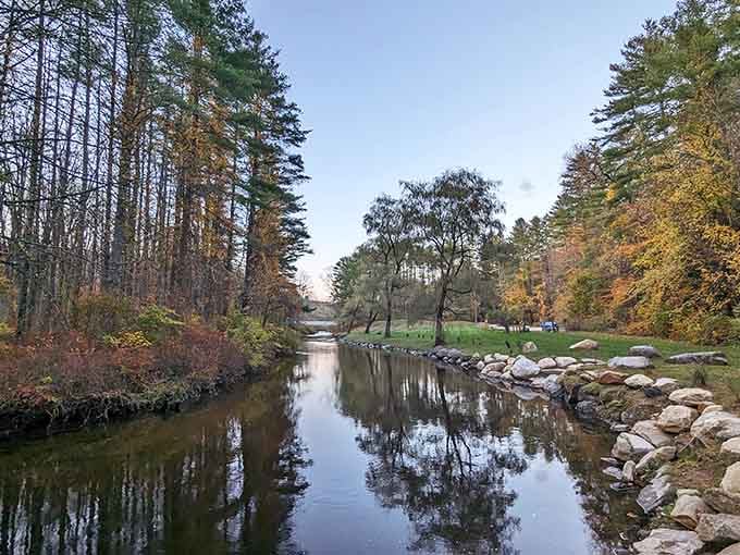Autumn turns this quiet river corridor into a painting nobody paid for but everyone deserves to see.