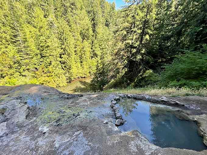 Mineral-rich geothermal water gives Umpqua Hot Springs its signature otherworldly turquoise glow.