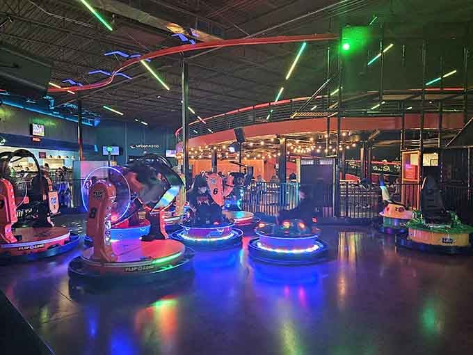 Spinning, glowing, and completely out of control. These bumper cars make every adult forget their age instantly.