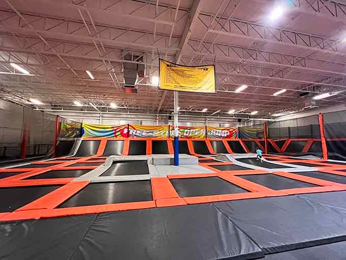 Orange and black trampolines stretch out like a bouncy checkerboard, ready to launch you into temporary flight.