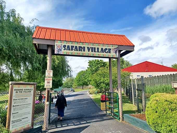 The Safari Village entrance promises adventures that don't require a passport or explaining customs what's in your luggage.