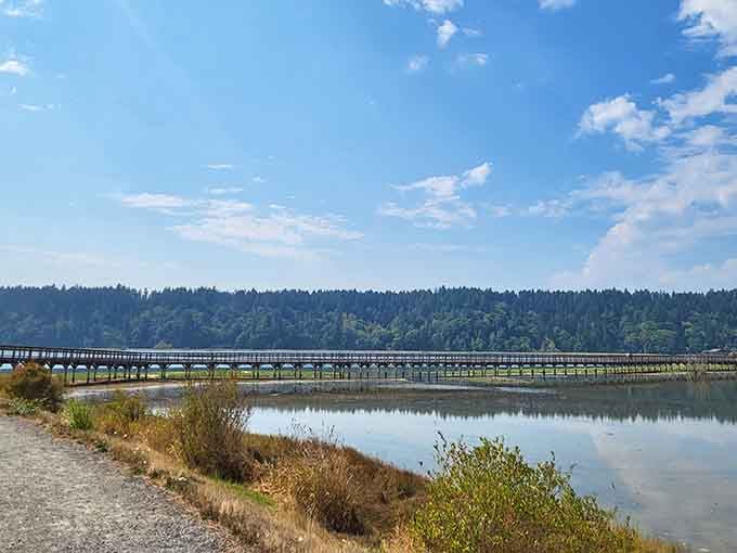 On a summer day, the estuary mirrors the sky so perfectly you'll wonder which way is up.