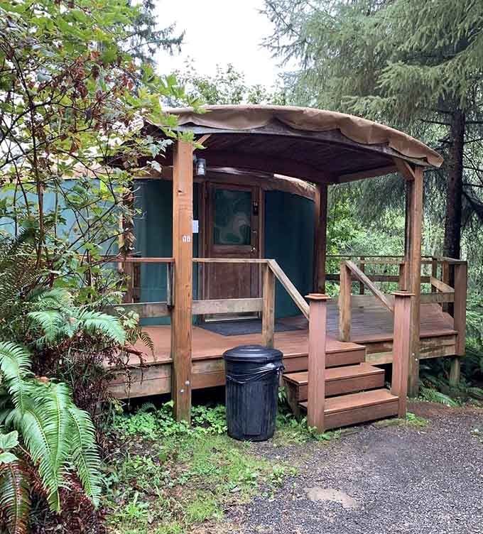 That green canvas exterior isn't just charming. It's your cozy forest headquarters for the weekend.