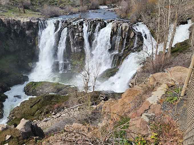 From up here, the falls look like nature decided to show off, and honestly, good for nature.