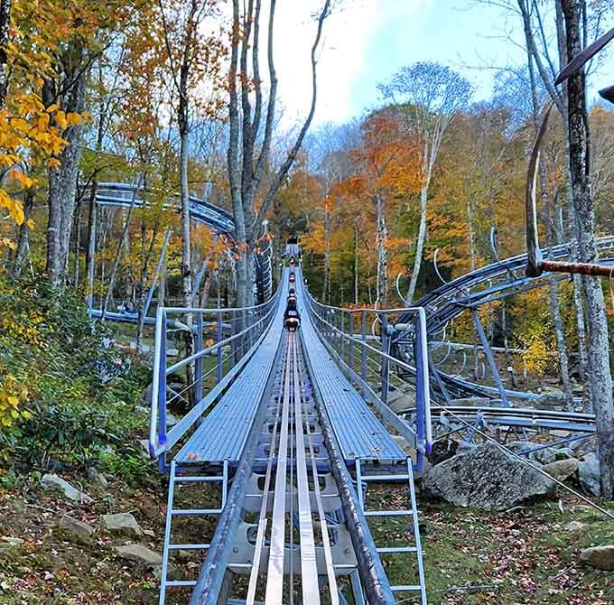 The climb up looks deceptively peaceful, like the calm before the storm of pure joy.