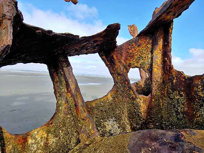 Nature spent 100 years painting these rusted ribs gold and green, and honestly, the results are stunning.
