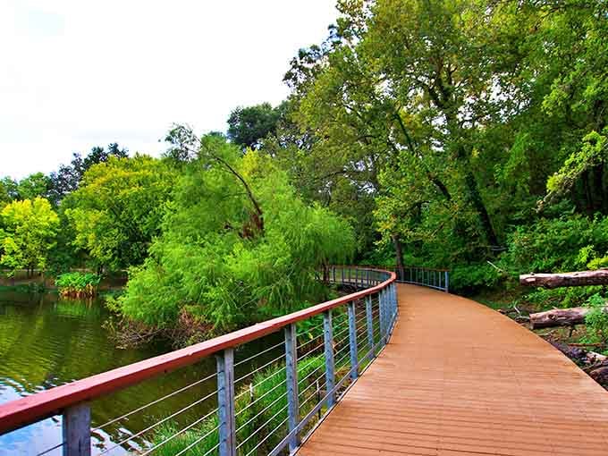 This curving boardwalk at Balcones Canyonlands winds through lush greenery like a gentle invitation to slow completely down.
