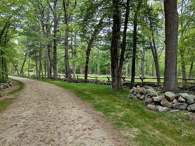 Walk the same peaceful path where colonial Minutemen once stood their ground during America's most famous revolution!