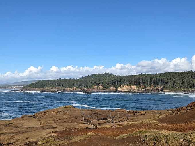 Rocky shoreline meets endless Pacific blue where ancient boilers rest and modern whale watchers gather in awe.