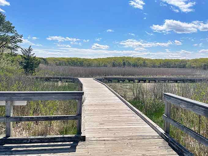 This boardwalk stretching over open wetlands under a wide blue sky is nature's version of a welcome mat.