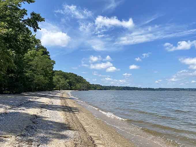 That endless James River shoreline at Chippokes stretches out like nature showing off its best work.