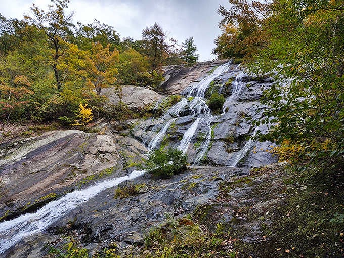 Water dancing over ancient rock in autumn's golden light, creating nature's own staircase down the mountainside.
