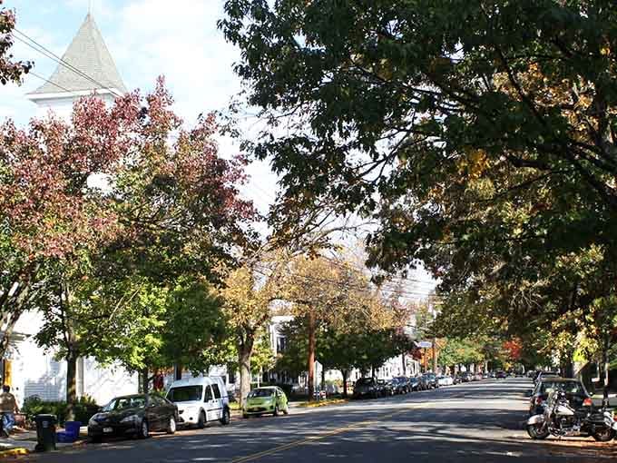 Cranbury's tree-canopied street feels like autumn decided to put on its finest show just for you.