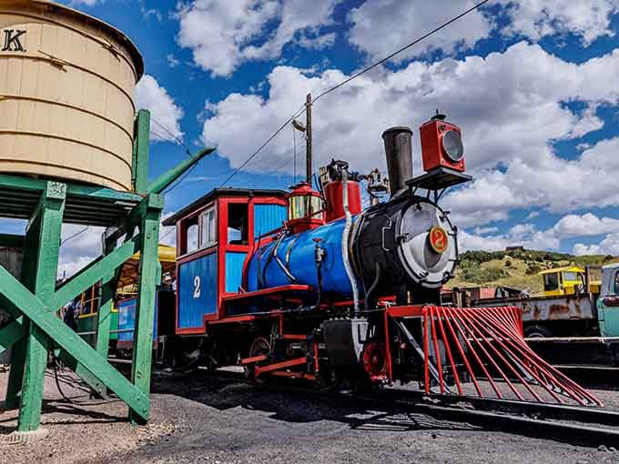 This cheerful blue and red locomotive looks like it rolled straight out of a storybook and never looked back.