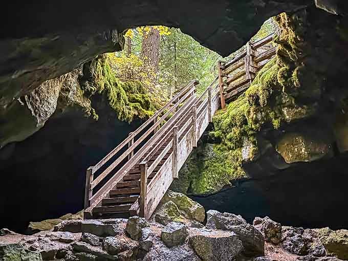A wooden staircase climbs toward daylight, framed by moss and volcanic rock that's seen centuries pass.