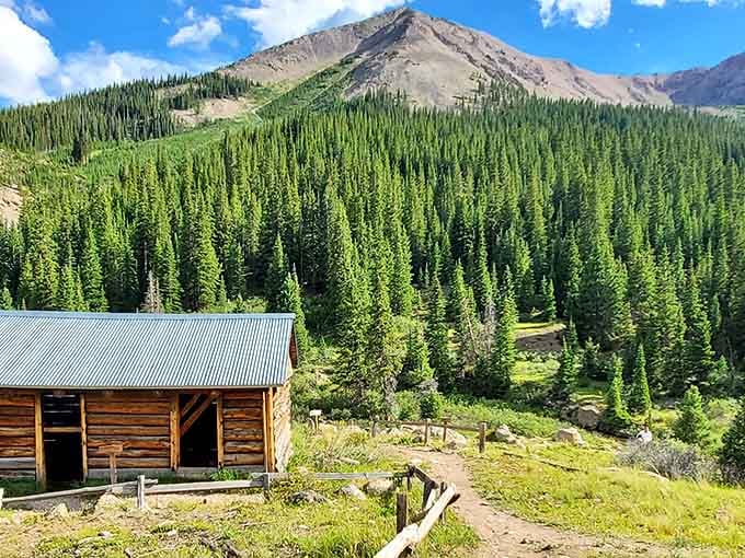 One lone cabin clings to the hillside at Independence, surrounded by a cathedral of pines and a peak that means business.