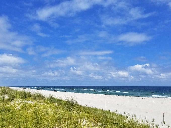 Wild beach grass dancing in the breeze frames miles of untouched shoreline stretching toward the horizon.