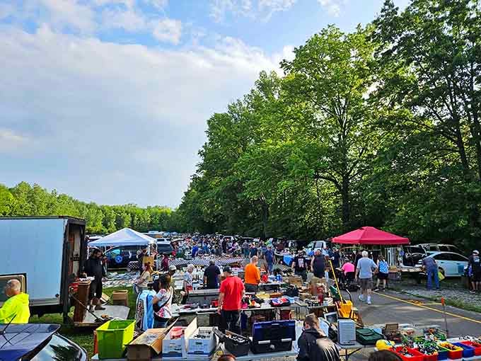 Blue skies, tall trees, and tables packed with treasures — Jamie's outdoor market is a perfect Ohio Saturday morning.