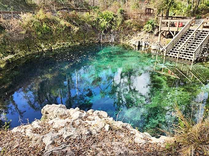 Perched above this limestone basin, you realize Florida's been hiding a secret this stunning right under everyone's nose the whole time.