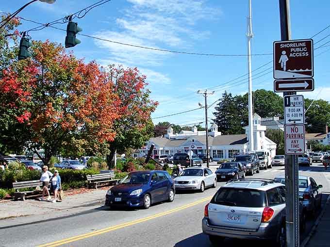 Autumn reds blaze beside a "Shoreline Public Access" sign, reminding you that Mystic's charm spills well beyond the famous drawbridge.