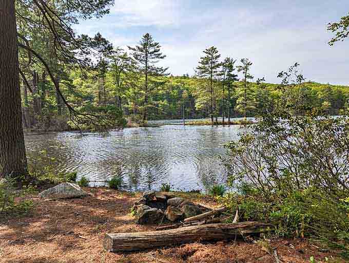 Pine needles, still water, and a forgotten campfire ring — nature's living room never looked so inviting.