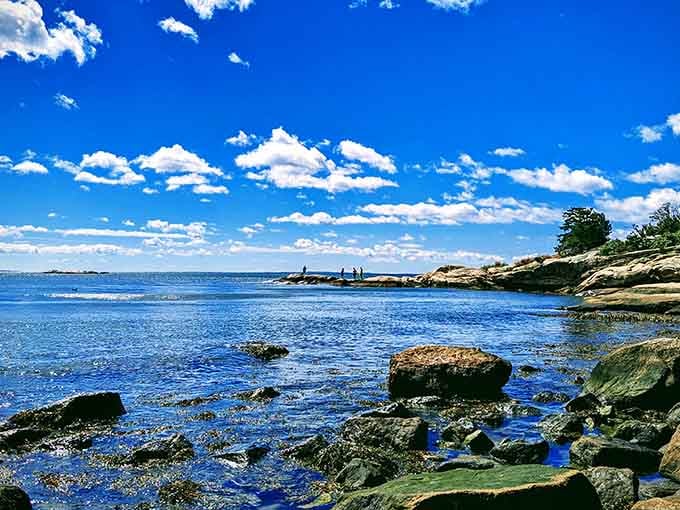 Rocky Neck's jewel-blue cove sparkles under a perfect summer sky, practically begging you to jump in.
