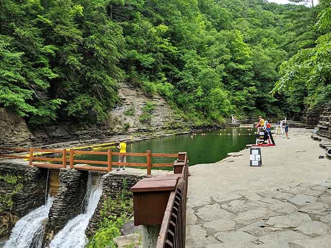 A wooden bridge, rushing waterfall, and emerald gorge pool — nature built something truly spectacular here in Dansville.