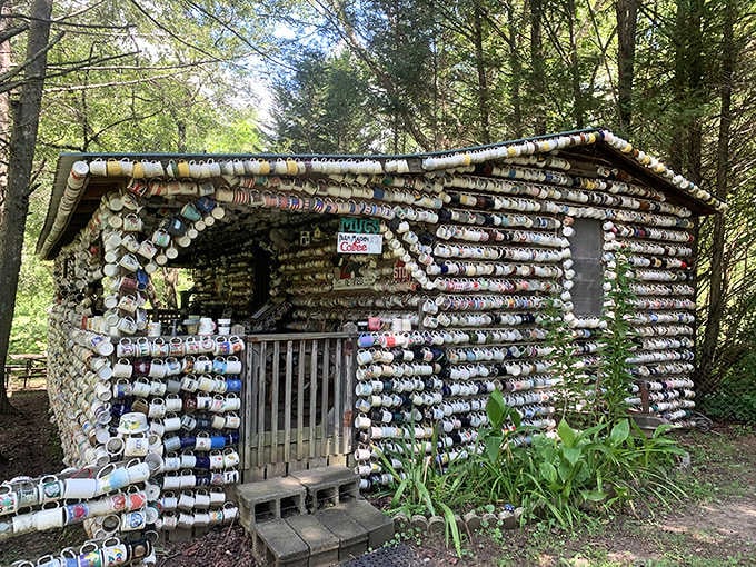 Thousands of coffee mugs cover every inch of this woodland cabin, making it the coziest fever dream in North Carolina.