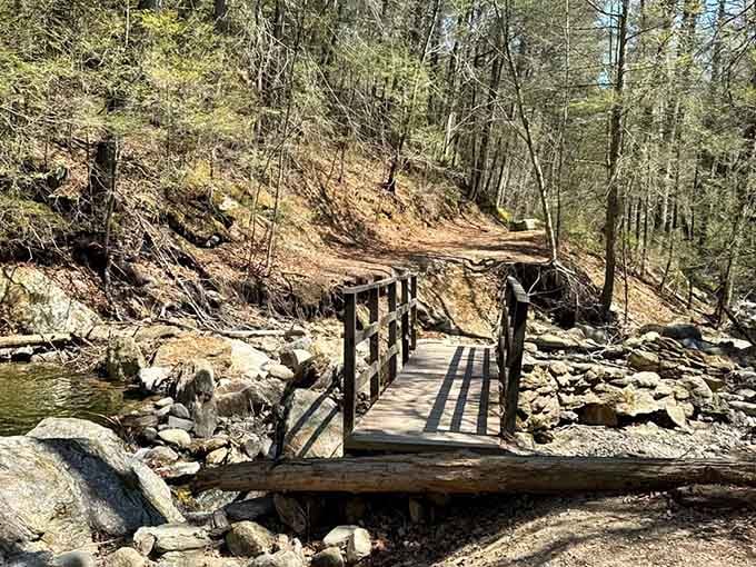 This rugged little footbridge over rocky stream banks proves that Naugatuck State Forest means serious, beautiful business.