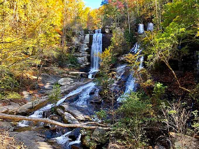 Twin Falls dressed in autumn gold is basically showing off, and honestly, it has every right to.