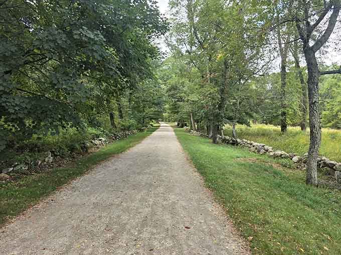 Ancient stone walls and open meadows line this gorgeous trail, making every step feel like a walk through living history!