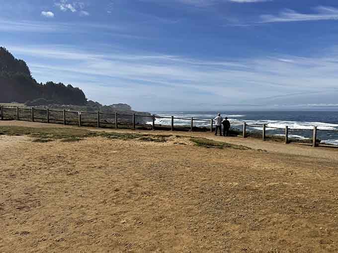 Patient observers line the cliff-edge fence, scanning horizons where gray whales cruise past like scheduled commuters.