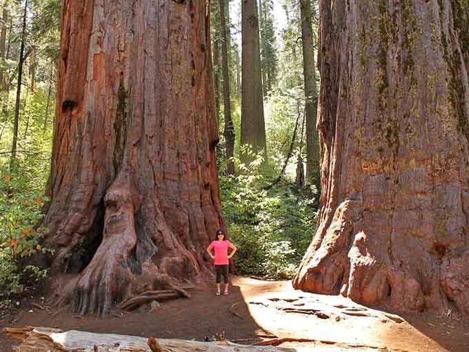 Standing between these titans makes you realize how wonderfully small we really are in the grand scheme.