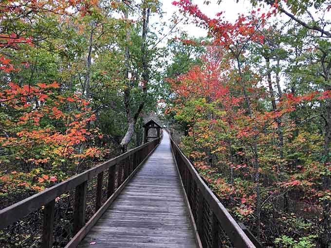 That covered shelter at the end of the boardwalk is your reward for walking through Alabama's most beautiful autumn tunnel.