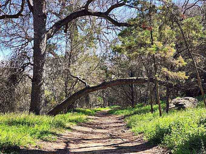 Shaded trails meander through oak trees and wildflowers, offering peaceful paths where nature does all the talking beautifully.