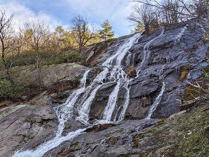 Winter's touch transforms the cascades into silvery streams against bare trees, like nature's own ice sculpture garden.