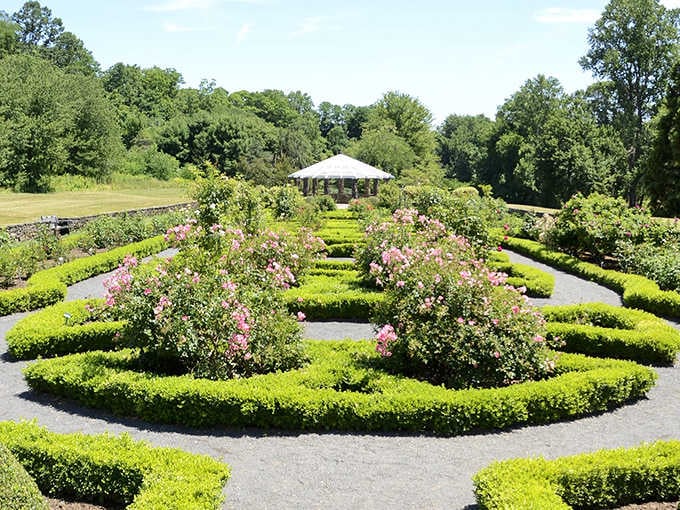 Pink roses spill over sculpted boxwood hedges, with a white gazebo waiting patiently at the end like a reward.