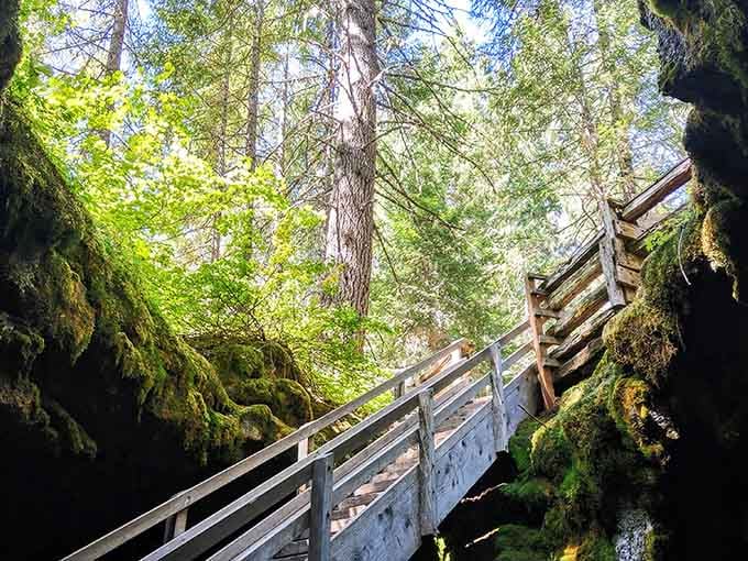 Sunlight streams down the staircase like nature's own spotlight, drawing you toward the moss-covered world above.