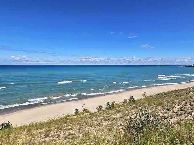 That single wildflower on the dune is basically waving hello and daring you to come closer.