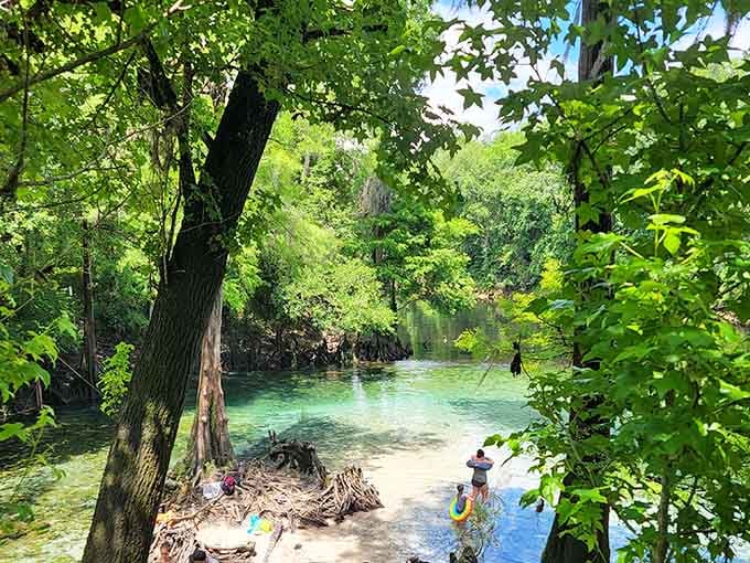 Families wading into crystal clear water framed by lush green canopy, this is what a perfect Florida afternoon actually looks like.