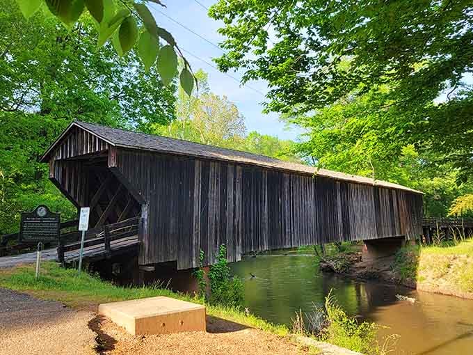 Dark wood framing lush greenery makes this bridge look like it wandered off a Hallmark card and decided to stay.
