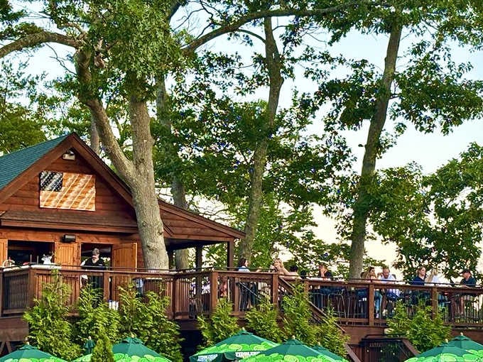 The wooden deck wraps around those tall oaks like a childhood dream you can actually visit for dinner.