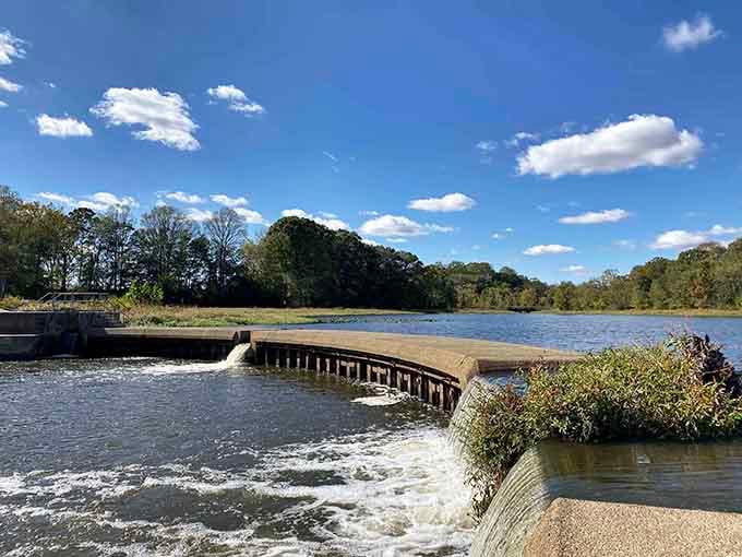 Sparkling water spills over a curved dam spillway under a perfect blue sky, making Tuckahoe feel wonderfully alive and energetic.