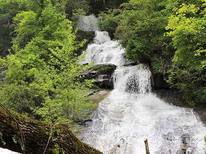 Spring-fed and roaring with energy, Twin Falls bursts through lush green forest like it has somewhere important to be.