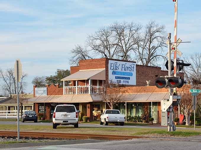 A railroad crossing, a florist, and a Georgia winter sky &mdash; Vidalia's everyday scenery is genuinely lovely.