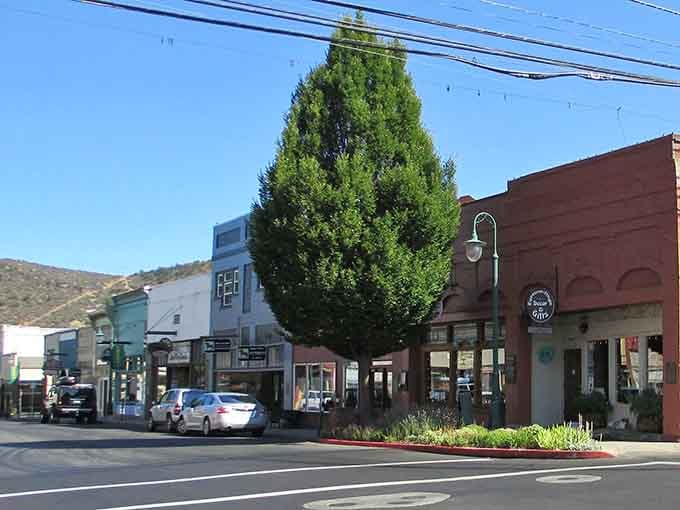 That perfectly shaped tree standing tall on Main Street feels like Yreka's own gentle exclamation point.