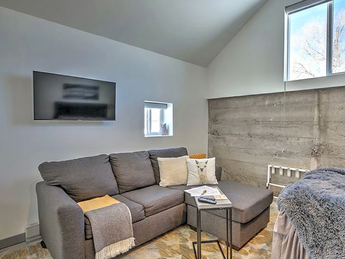 That concrete accent wall adds industrial chic to your alpaca adventure, because even farm stays deserve good design.