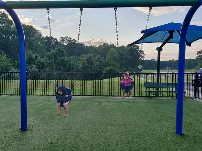 Two tiny humans discovering the ancient art of swinging. Some joys never get old, and this proves it.